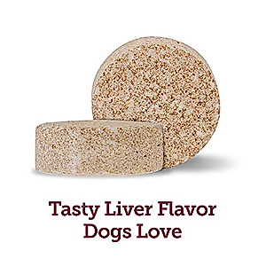 Vetality Canine Aspirin for Dogs | Fast Pain Relief | Small to Medium Dogs | Liver Flavor | 75 Chewable Tablets