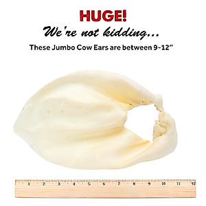 Downtown Pet Supply - Cow Ears for Dogs - Dog Treats Made in USA - Dog Dental Treats & Rawhide-Free Dog Chews - Joint Support with Chondroitin, Protein, Vitamins & Minerals - Baked - 9-12 in - 5 Pack