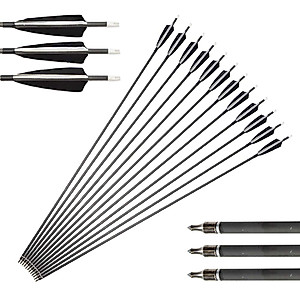 ZSHJGJR 34 Inch Carbon Arrows Archery Hunting Target Arrow Spine 500 with 4" Real Feathers 100 Grain Points Arrow Quiver Tube 12 Pieces (12 Pieces Arrows + Quiver)
