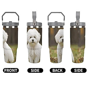 RTFGHJS Bichon Frise Dog 30 Oz Tumbler with Handle And Flip Straw, Stainless Steel Vacuum Insulated Travel Mug, Thermal Cup for Coffee, Water, Iced Drinks, Fits Car Cup Holders (Home, Sports)