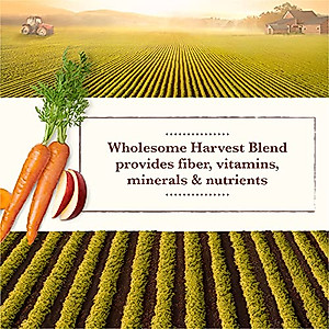 Whole Earth Farms Grain Free All Breed –Adult Canned Wet Dog Food 12.7 Ounce (Pack of 12)