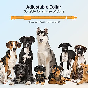 PATPET Dog Shock Collar with Remote - Waterproof Dog Training Collar for Small Medium Large Dogs with Beep, Vibration and 16 Static Levels Shock