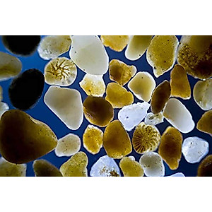 Swift S41-20 Professional Dissecting Binocular Stereo Microscope, WF10x WF20x Eyepieces, 10X 20X Magnification, 1X Objective, LED Lighting, Boom-Arm Stand