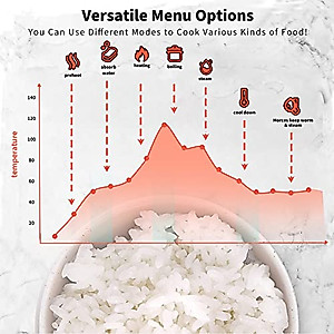 Dezin Rice Cooker 4 Cups Uncooked, Small Rice Cooker Steamer with Removable Nonstick Pot, BPA Free, Keep Warm & 24 Hours Time Delay Function, Mini Rice Cooker for Rice, Simmering Grain, Oatmeal, Quinoa