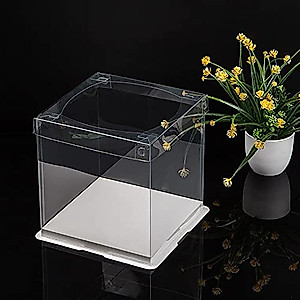 XININSUN 6Pcs Tall Cake Boxes PET Clear cake Box with Ribbon, 8 X 8 X 9inch for Bakery Boxes Cupcake Boxes Pie Cookies Boxes,Clear Gift Boxes with Lid for Carry Tall Layer Gift-White