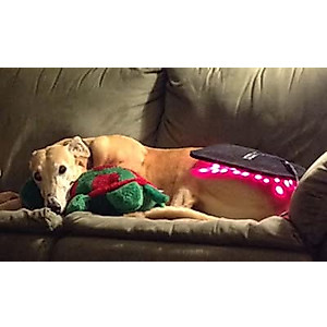 Gospel's Medium Light Therapy Pad with Case