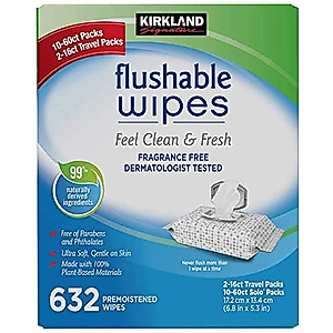 Kirkland Signature Moist Flushable Wipes, 632 Wipes