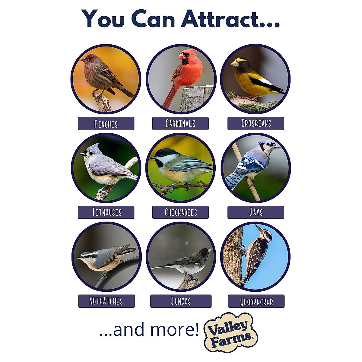 Valley Farms Woodpecker Mix Wild Bird Food, No Mess Bird Seed for Outdoor Feeders, W/Peanuts and Sunflower Hearts for Birds, Woodpecker Food, Attract All Bird Species (4 LBS)