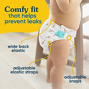 Premium Cloth Diaper System, Reusable and Washable, 1 Diaper and 2 Inserts, Sophie Classic, One Size