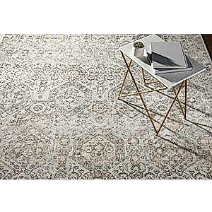Hauteloom Bluffs Moroccan Farmhouse Living Room Bedroom Dining Room Area Rug - Bohemian Style - Boho Vintage Distressed - Beige, Gray, Brown, Cream 6'7" x 9'