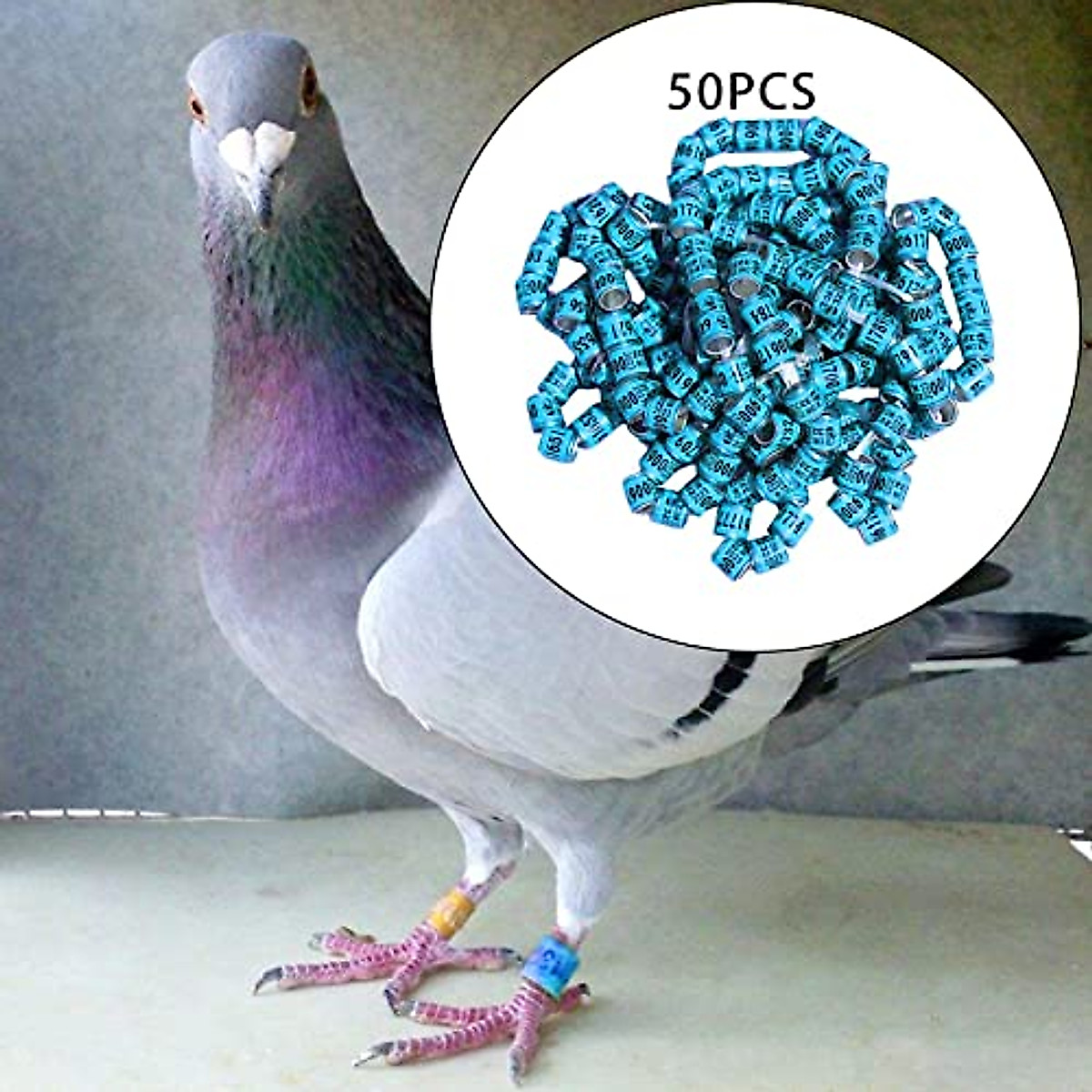 50pcs 8mm 2023 Pigeon Bands, Customized Bands for Pigeon Ring Birds Leg, Aluminum Bird Rings Leg Bands Ring Bands, Blue
