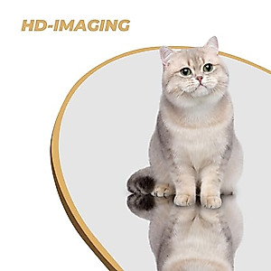 BOSTANA 59.9"x16.5"Arched Full Length Mirror,Aluminum Alloy Metal Frame Arched Wall Mirror,Wall Mirror Hanging or Leaning Standing Body Mirror with Stand for Bathroom,Cloakroom,Golden