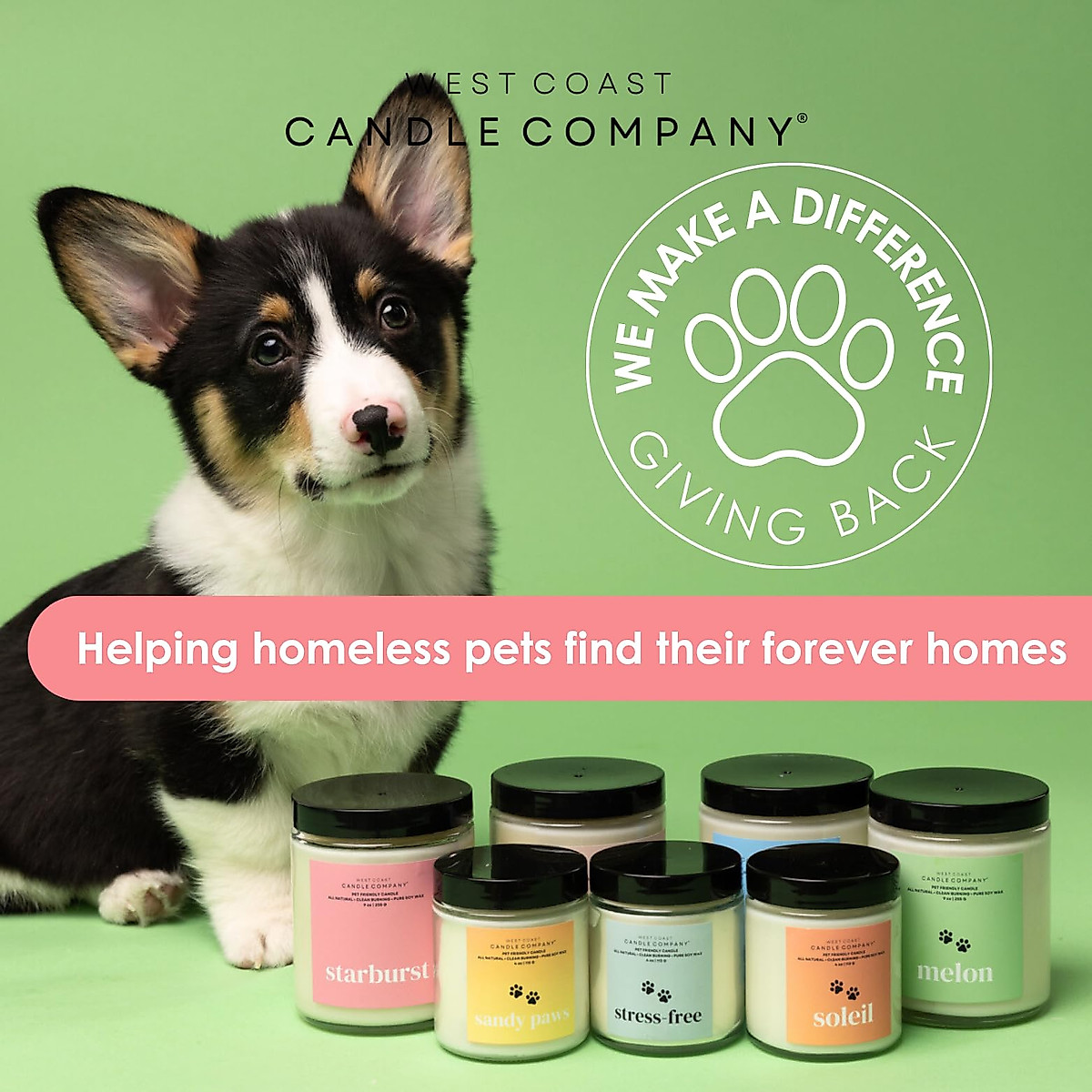 Pet Friendly Candle | Pet Safe Candle | All Natural Soy Candle | Non-Toxic Candle | Pet Odor Eliminator | Clean Burning Candle | Air Freshening Scented | Veterinarian Approved | 4 oz (Horchata)