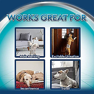 Simple Solution Disposable Dog Diapers for Male Dogs | Male Wraps with Super Absorbent Leak-Proof Fit | Excitable Urination, Incontinence, or Male Marking | Small | 30 Count