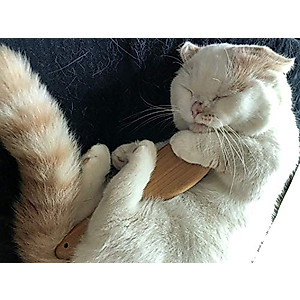 Patina Dog Cat Brush for Shedding, Natural Bamboo Boar Bristles Brush, Pet Grooming Supplies for Short and Long Haired Dogs Cats, Gentle Easy Grooming Massage, Japanese design