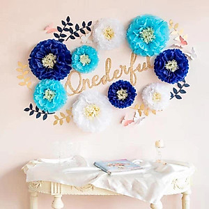 Fonder Mols Navy Blue White Tissue Paper Flowers Decorations for Wall Backdrop, Fishing Nautical Ocean Boy Themed Baby Shower Birthday Bridal Shower Decor (Pack of 17)