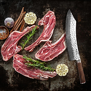 Wakoli Butcher's and BBQ Knife, 12-inch Blade Damascus Chef Knife made of 67 Layers Damascus Steel with VG10 Core, Butcher Knife for Meat Cutting with Walnut Wood Handle, Sharp Kitchen Knives (Walnut)