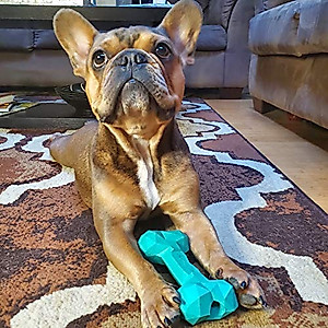 Willie Bones | Modern Dog Chew Toy | Almost Indestructible Dog Toys for Aggressive Chewers | Tough + Durable + Strong Natural Rubber Bone Toy for Small + Large Dogs + Puppy Teething | Boredom Chews
