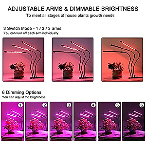 Buteny Grow Lights Plant Light for Indoor Plants Lamps Auto ON/Off Timer