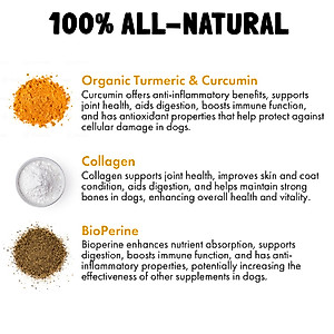 Turmeric Curcumin Hip & Joint Dogs Supplement Anti-Inflammatory Support for Arthritis & Mobility with Collagen & BioPerine Pain Relief Antioxidant Digestive Cardiovascular (1 Count (Pack of 26))