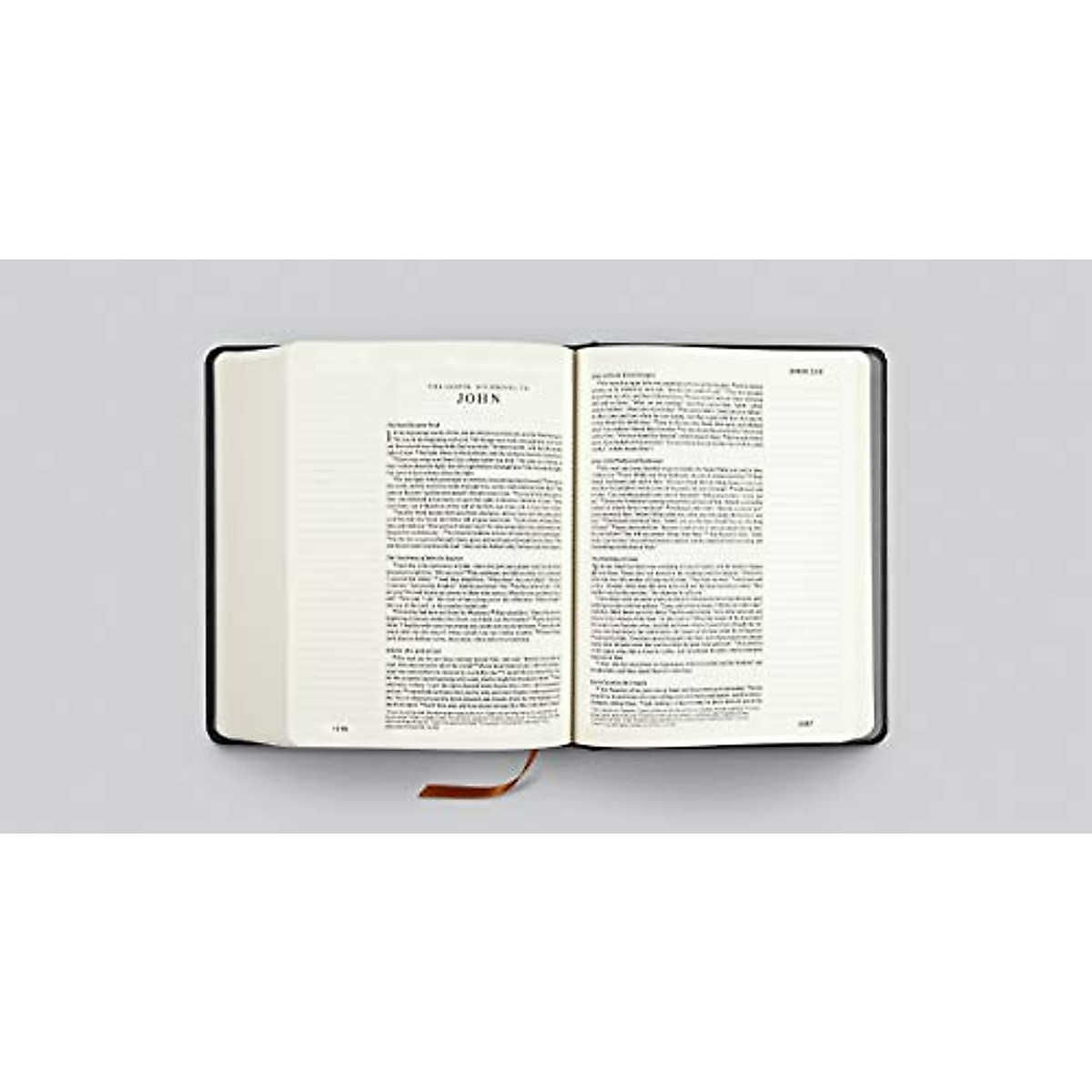 ESV Single Column Journaling Bible, Artist Series (Hardcover, Joshua Noom, The Lion and the Lamb)