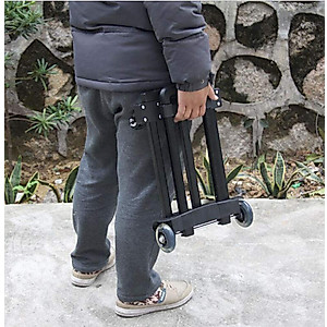 saditesdk Foldable Hand Truck, Flat Garden Grocery Shopping Portable Hand Push Folding Cart