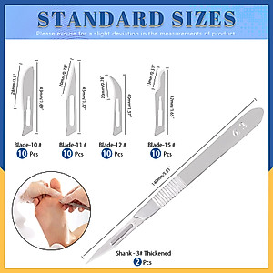 Glarks 42Pcs Surgical Grade Blade with Handle Kit, 40Pcs #10#11#12#15 Disposable Surgical Blade Sterile Scalpel Blade with 2Pcs #3 Scalpel Knife Handle for Biology Lab Anatomy, Practicing Cutting