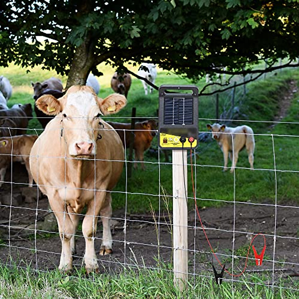 Electric Fence Wire Connect The Energizer and Electric Fence Charger Solar Fence Charger Solar Powered Electric Fence, Solar Electric Fence, Electric Fence Lead Wire with Alligator Clip, 3 Ft/91cm