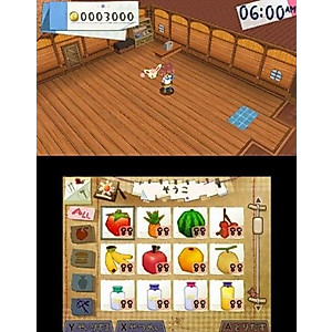 Home Town Story [Japan Import]