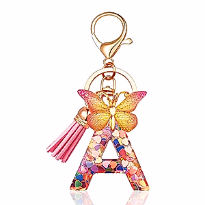 JINGUAZI Initial letter Keychains for Women Tassel Butterfly Pink Cute Car Keychain for Wallet Purses Backpack (Pink A)