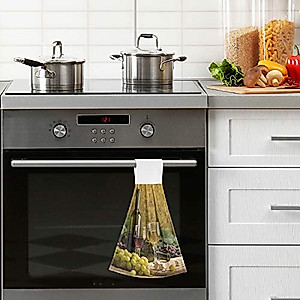 Oarencol Vintage Red and White Wine Glasses Grape Kitchen Hand Towel Absorbent Hanging Tie Towels with Loop for Bathroom 2 Pcs