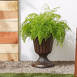 Arcadia Garden Products PL10CP Classic Traditional Plastic Urn Planter Indoor/Outdoor, 15" x 13", Brushed Copper