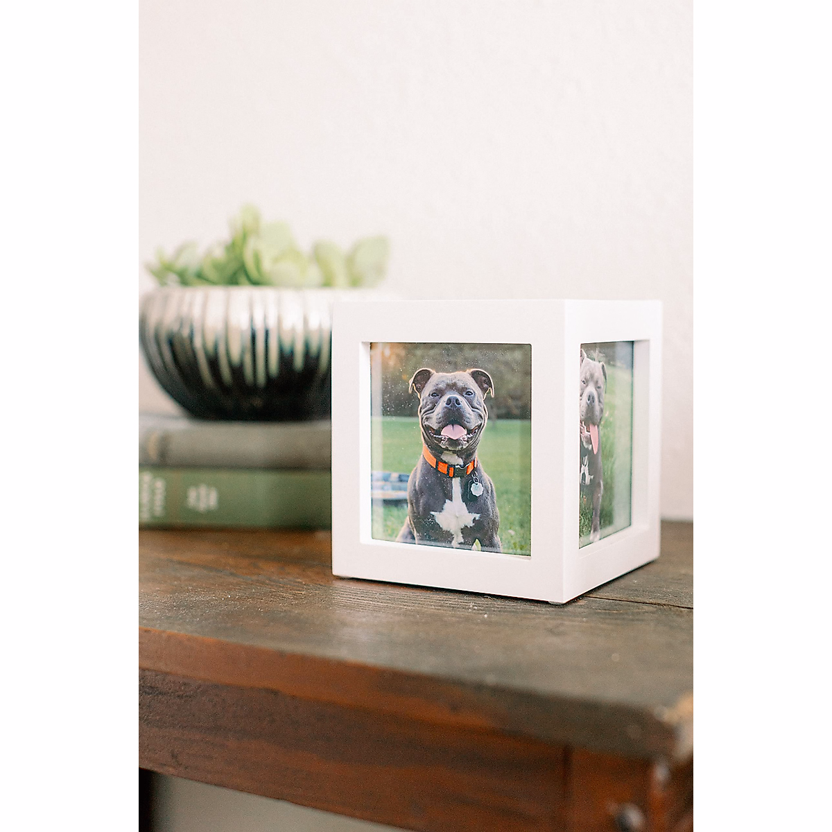 Pet Urns for Dogs Ashes | Dog Urns for Ashes Medium Personalized w/ 4 Photos | White Dog Urn for Pet Ashes Dog up to 40 lbs | Cat urn Memorial Gift for Loss of Pet | Pet Urns for Cats w/Quote