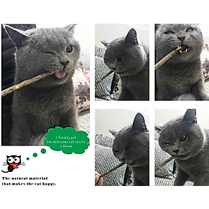 CXP Good Goods Cat Catnip Stick,Silver Vine for Teeth Grinding Chew Toy (26 Pieces)