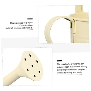 10 pcs Pour and Sprinkler Can Mini Spout Galvanized Plant Portable Yard Tin Pot Succulents Long Bucket Small for Cans Shabby Spray Kettle Display Metal Watering Sturdy