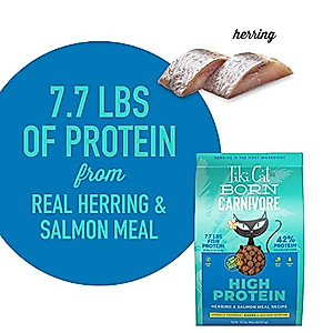 Tiki Cat Born Carnivore High Protein, Herring & Salmon Meal, Grain-Free Baked Kibble to Maximize Nutrients, Dry Cat Food, 11.1 lbs. Bag