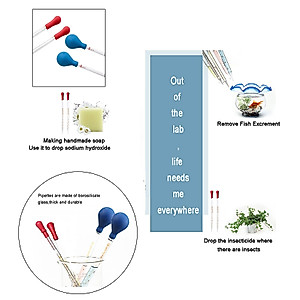 Luckkyme 4pcs Thick Glass Graduated Dropper Pipettes and Liquid Pipettors with Scale Line Silicone Rubber Caps 1ml 2ml 5ml 10ml