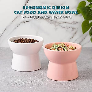 Elevated Cat Water Bowl - Raised Ceramic Cat Food Dish - Anti Vomiting - Extra Wide Whisker Friendly - Microwave & Dishwasher Safe - 6.1 inch - 18.5 oz - 550 ml