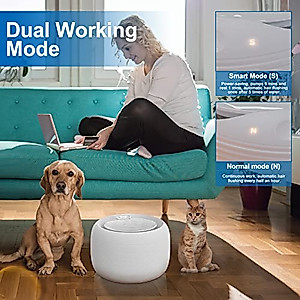 Cat Water Fountain, 84oz/2.5L Pet Water Fountain for Cats Inside, Ultra Quiet Automatic Cat Water Dispenser, Silent Pump with Dry-Run Protection, Dual Mode for Cats, Small Dogs