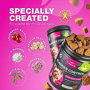 Dog UTI Treatment - Dog Cranberry Supplement for Bladder & Kidney Health, Urinary Tract, Incontinence Support - Cranberry Supplement for Dog Incontinence - Bladder Control Cranberry Chews