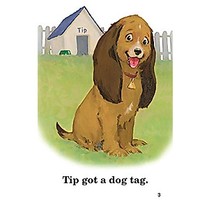 Animal Friends Books 1-8 - Abeka K4 4 Year Old Kindergarten Phonics Reading Program Student Reader