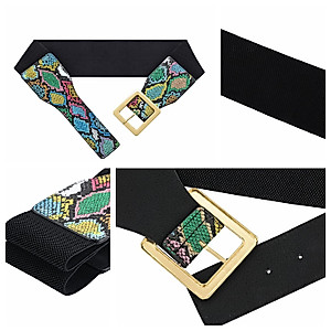 Ayliss Snakeskin Wide Elastic Belt for Women Dress Waist Belts PU Leather Stretchy Wide Waist Cinch Belt Waistband Costume (Snakeskin)