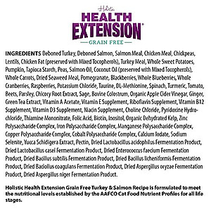 Health Extension Dry Cat Food, Natural Food with Added Vitamins & Minerals, Suitable for All Kittens & Adult Cats, Turkey & Salmon Recipe with Whole Vegetable & Berries (1 Pound / 0.4 kg)