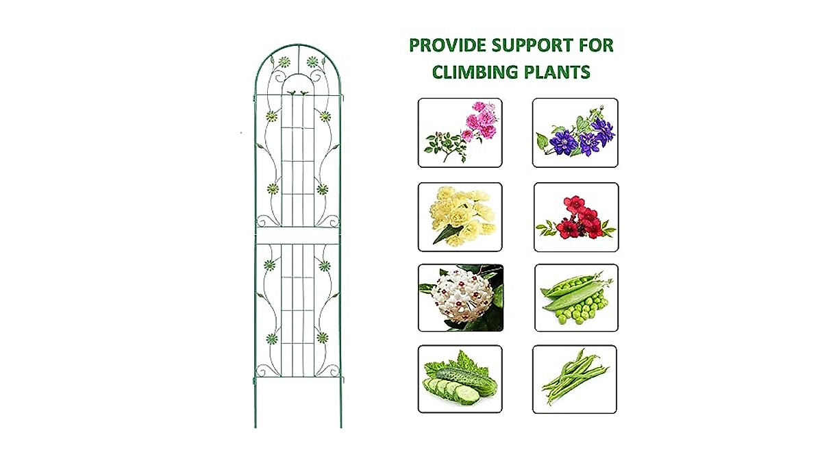 2 Pack Metal Garden Trellis - Support for Climbing Plants