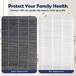 VIEWALL 2 Sets 116130 Replacement Filter H Compatible for Winix 5500-2 Air Cleaner Purifier and Models AM80, 2 HEPA Filters + 2 Activated Carbon Filters Combo Pack, White
