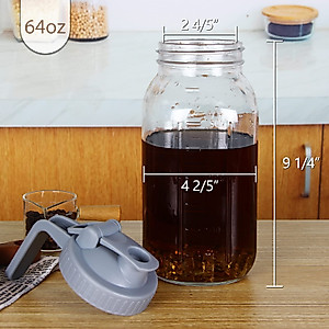 VA1KENE Cold Brew Coffee Maker 64oz - Iced Coffee Maker With Stainless Steel Filter, Mason Jar Pitcher With Lid and Spout (Grey)