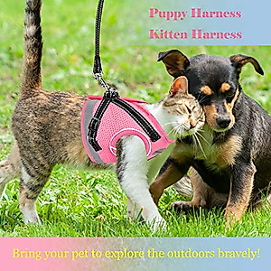 Cat Harness and Leash for Walking, Kitten Escape Proof Harnesses, Adjustable Reflective Puppy Vest Harness with Leashes Set, Easy Adjustable Soft net Breathable Pet Safety Jacket