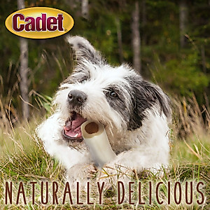 Cadet Junior Stuffed Shin Bones - Highly Digestible, High Protein, Long-Lasting Dog Chew Bone for Aggressive Chewers, Supports Dental Health, - Peanut Butter Flavor, Petite (2 Count)