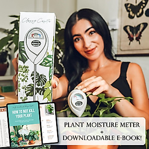 Classy Casita Soil Moisture Meter: Houseplant Care with eBook - Hydrometer Sensor For Plants - Essential Moisture Meter for Indoor & Outdoor Plants - Gardening Gadgets & Houseplant Accessories - White