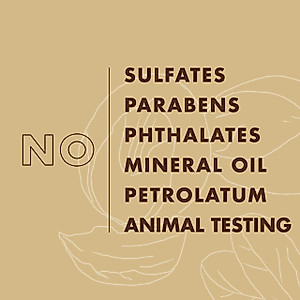 SheaMoisture Raw Shea Butter Deep Treatment Masque Hair Treatment, 12 Ounce